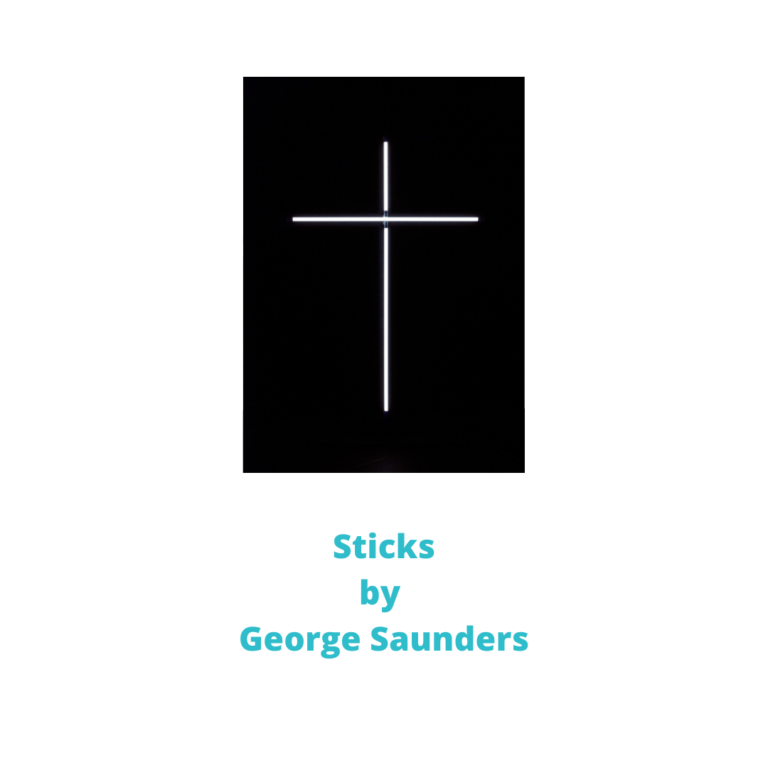 ‘Sticks’ by George Saunders – Short Story Analysis – Tina Sequeira