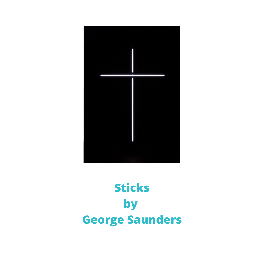 ‘Sticks’ by George Saunders – Short Story Analysis – Tina Sequeira